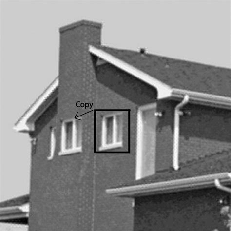 Image Tampering Using Copy Move Attack Of Type 2 Download Scientific Diagram