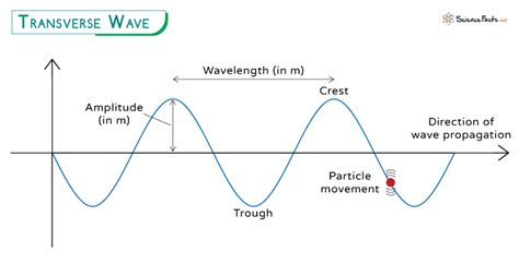 Transverse Wave Definition Characteristics And Examples