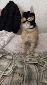 Gangster Cat S Tenor