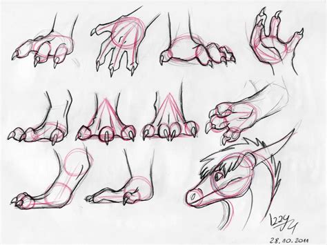 Dragon Hands And Feet Tutorial How To Draw A Dragon Hand