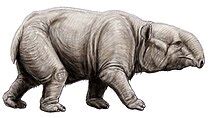 Numidotherium Wikipedia