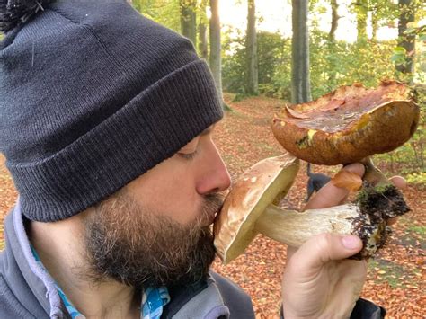 Foraging For Edible Plants And Mushrooms The Outdoor Guide