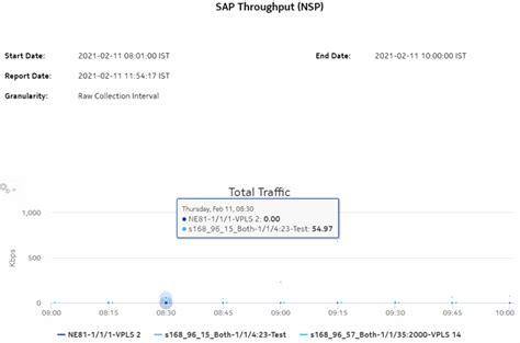 Sap Throughput Nsp Report