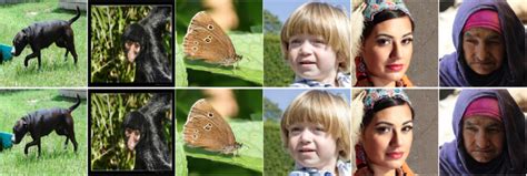 Top Original 256 × 256 × 3 Images Bottom Reconstructed Images From Download Scientific