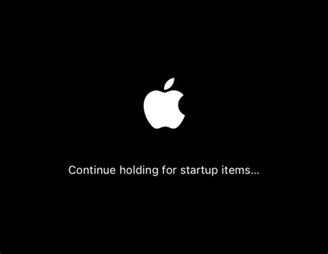 Installing Ace On Macs Running Macos 13 Ventura Rogue Amoeba Support