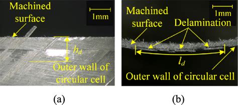 Morphology Of Delamination Of Cfrp Circular Cell A Delamination