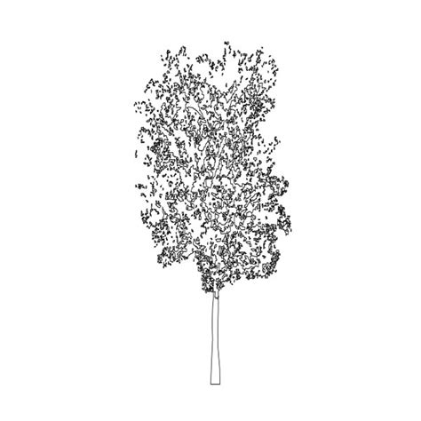 FREE TREE ELEVATION CAD BLOCK DWG DXF PDF FORMAT FREE CADS