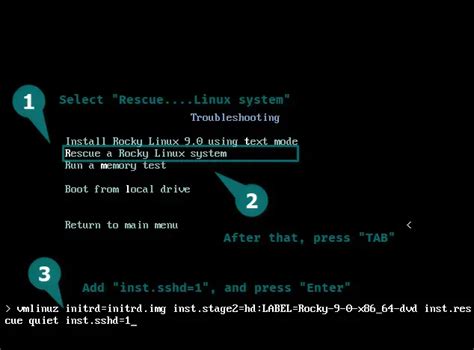 How To Enable Ssh Service In Rescue Mode On Centosrockylinuxalmalinux
