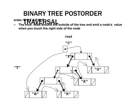 binary tree representation ppt programming languages computing