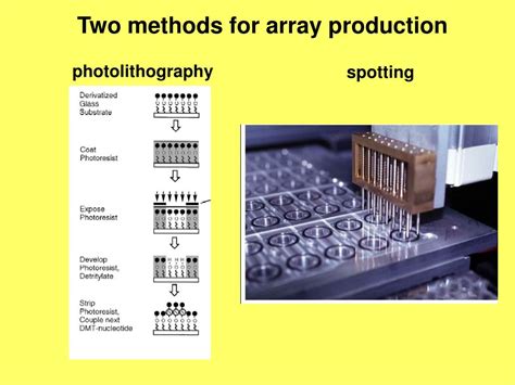 PPT Microarray Design And Analysis PowerPoint Presentation Free Download ID