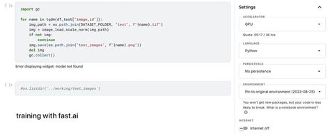 Tqdmgc Issue With Kaggle Offline Version Part 1 2022 Fastai Course Forums