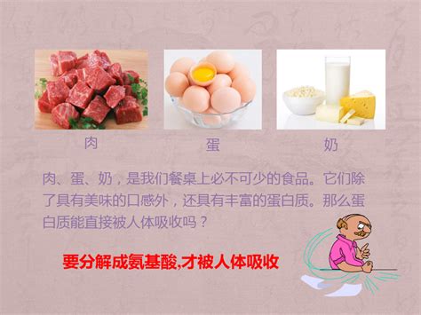 氨基酸的结构与性质 Word文档在线阅读与下载 无忧文档