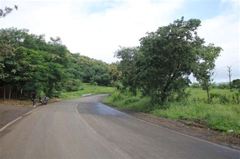 Premium Photo Landscape Of A Road With Trees On Sid