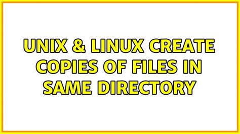 Unix And Linux Create Copies Of Files In Same Directory 4 Solutions