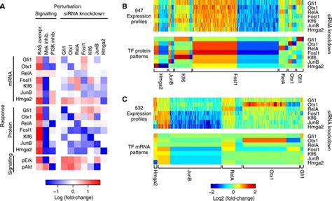 perturbation experiments a summary of the perturbation response data