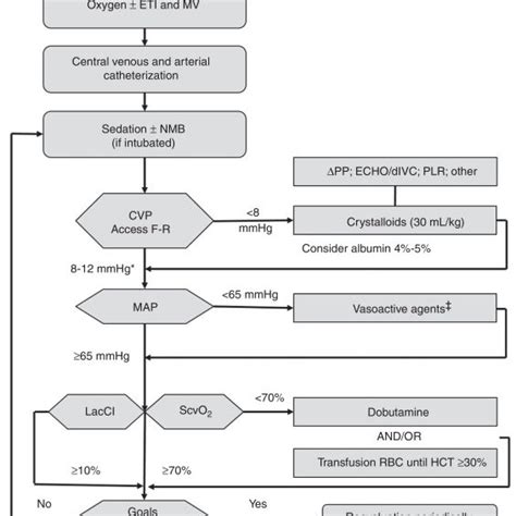 Suggested Goal Directed Therapy Algorithm For Septic Shock Download Scientific Diagram