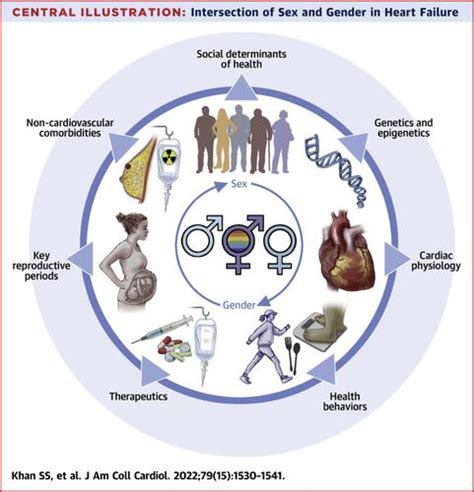 Sex Based Differences In Heart Failurejournal Of The American College