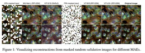 Why Recursion Pharmaceuticals Abandoned Cell Painting For Brightfield