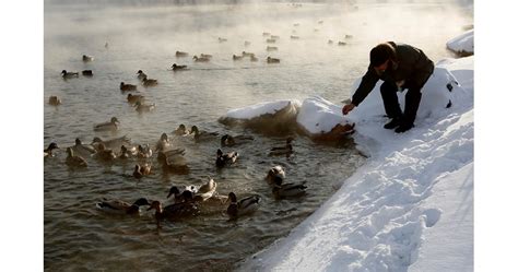 Учени Топенето на леда в Сибир прави Европа негодна за живот
