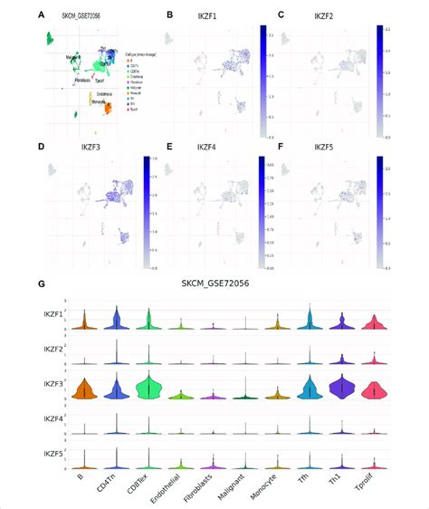 Transcriptomic Signatures Of Different Cell Types In The Melanoma Download Scientific Diagram