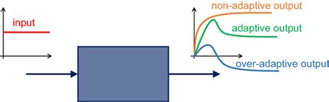 system with non adaptive orange adaptive green and over adaptive