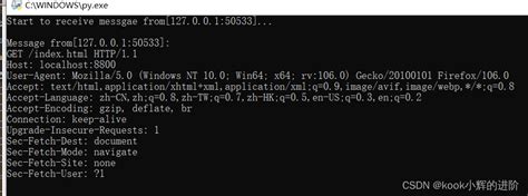 简单易懂：python的socket编程模拟服务器与浏览器交互socket与浏览器通讯 Csdn博客