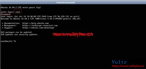vultr自带ssh登陆工具 在线ssh远程登陆 view console工具 vultr优惠网
