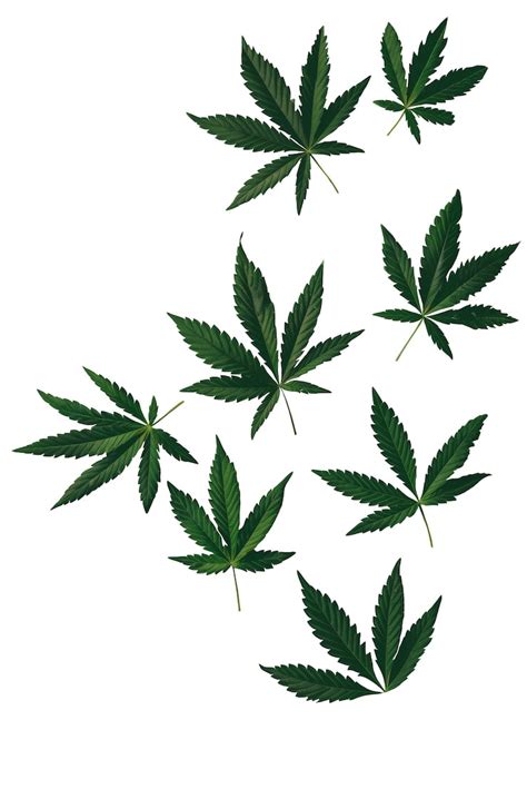 Weed Png Images Free Download On Freepik