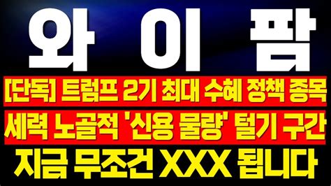 와이팜 주가전망 개인 신용 물량 털고 세력들만 매수 중 트럼프 2기 자율주행이 최대 수혜 165억 유증을 왜 했는지 알겠네요 완벽정리 Youtube