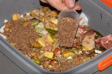 Composting For Beginners Greenredeem Sustainability Blog