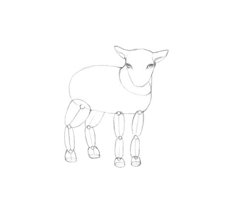 How To Draw A Sheep Graficznie