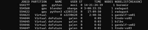 Using Future Batchtools Galen Holt