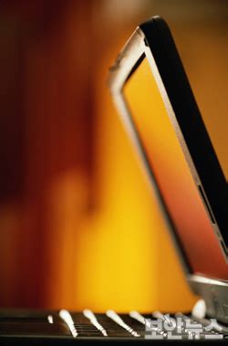 보안업체들 잇단 패치 발표 보안패치로 풍성한 월