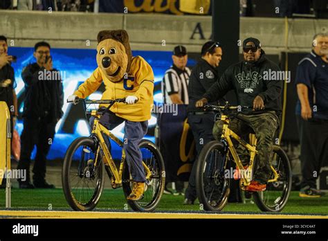 Berkeley Ca October 17 California Golden Bears Mascot Oski Rides A