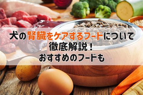 犬の腎臓をケアするフードについて徹底解説｜おすすめのフードも 獣医師執筆・監修！犬の病気大百科～愛犬が幸せで長生きする飼い方とごはんの知恵～