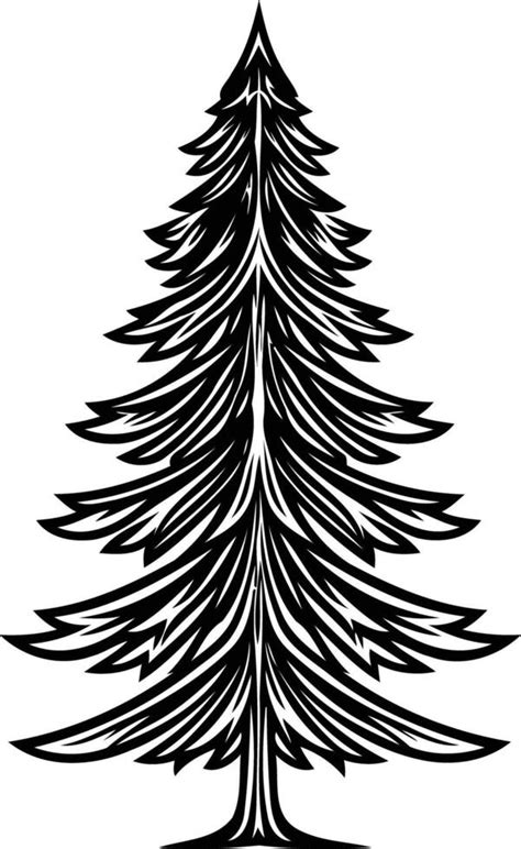 A simple yet striking black and white illustration of a pine tree 49762368 Vector Art at Vecteezy