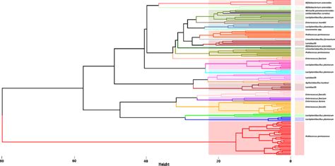 Dendrogram Generated From The Hierarchical Cluster Analysis Of