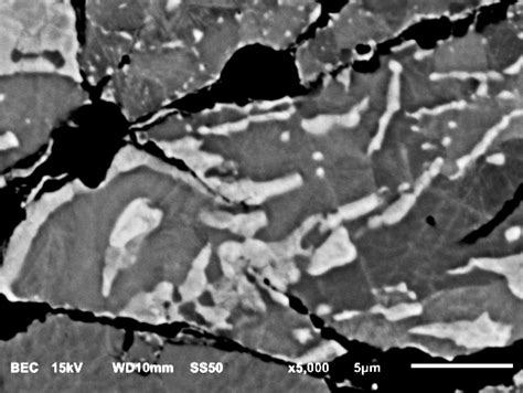 Microstructure Of The Nial Ni3al Reinforced 5 Wt Tib2 After Download Scientific Diagram