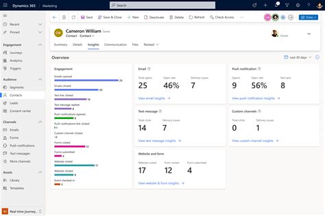 access and interpret analytics dynamics 365 customer insights