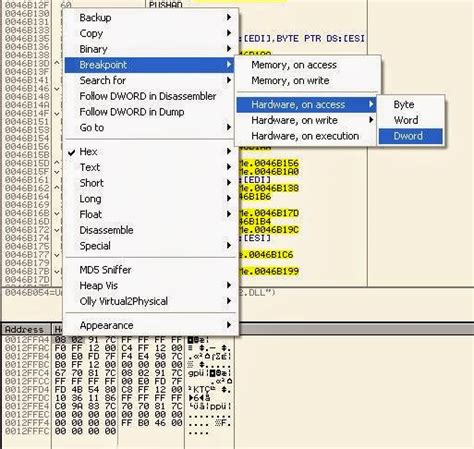 Security Unplugged Manual Unpacking Of Ahpack Packed Binary File