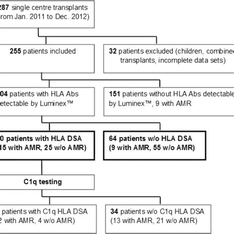 Of The Study Design And Results Of The HLA Antibody Analysis Download Scientific Diagram