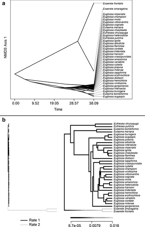 A Phenogram Of Cuticular Hydrocarbon Chc Chemistry Evolution Within Download Scientific