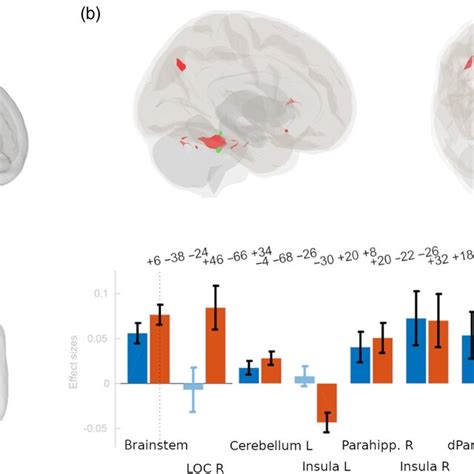 Baseline Findings Of Localisationbased LC Functional Connectivity To Download Scientific