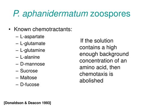 Ppt Biological Control Of Pythium Aphanidermatum Powerpoint Presentation Id9383354