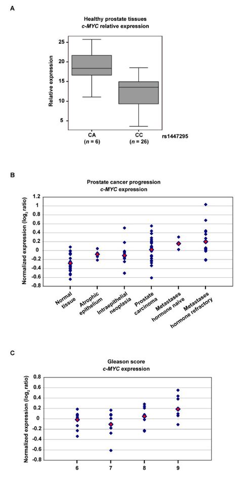 Analysis Of C Myc Expression In Normal And Prostate Cancer Tissues A Download Scientific