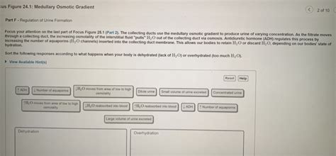 Solved Us Figure 241 Medullary Osmotic Gradient 2 Of 10