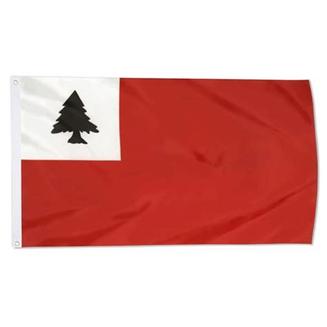 2but New England Continental American Flag Battle Of Bunker Hill Flag