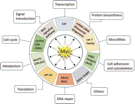 Xia And He Publishing