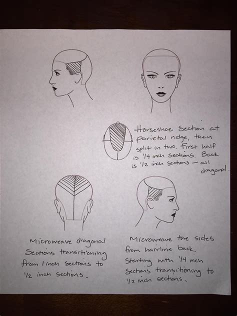Haircut Sectioning Patterns Design Cuts In Hair