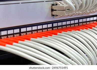 Ethernet Switch Data Transmission Connection Using Stock Photo Shutterstock